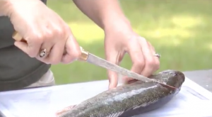How To Clean Fillet A Fish