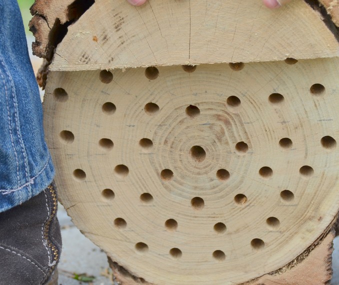 How To Make A Mason Bee Nest – Eco Snippets