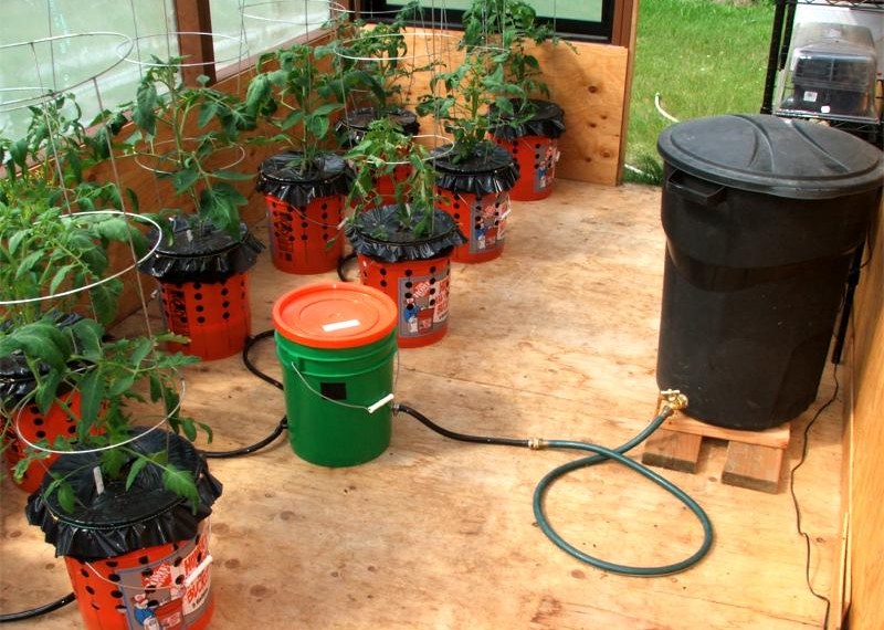 Self Watering Container Garden System – Eco Snippets