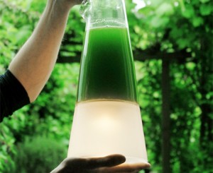 Algae-Powered Lamp Transforms CO2 Into Light
