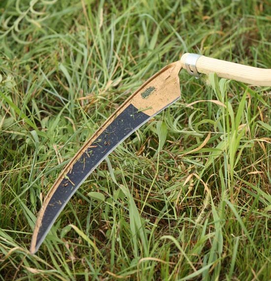 Mowing With A Scythe – Eco Snippets