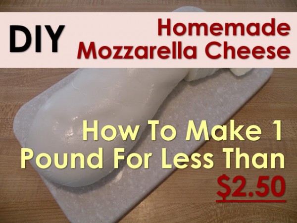 How To Make Homemade Mozzarella Cheese - 1 Pound For Less Than $2.50