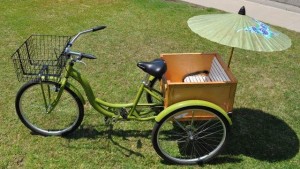 A Cool Little A Bicycle Rickshaw