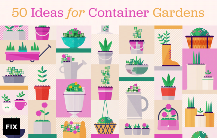 50 Ideas For Container Gardens