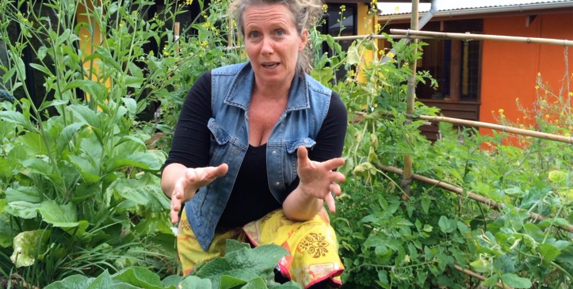 Comfrey Tea, A Simple Homemade Natural Fertiliser...