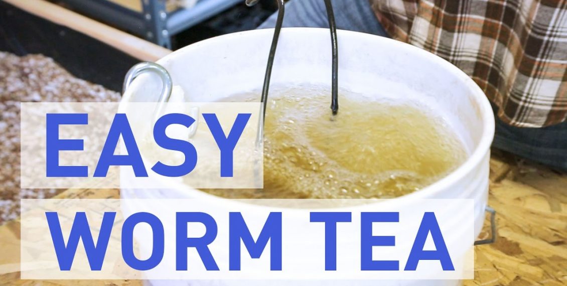 How To Make Worm Tea… – Eco Snippets