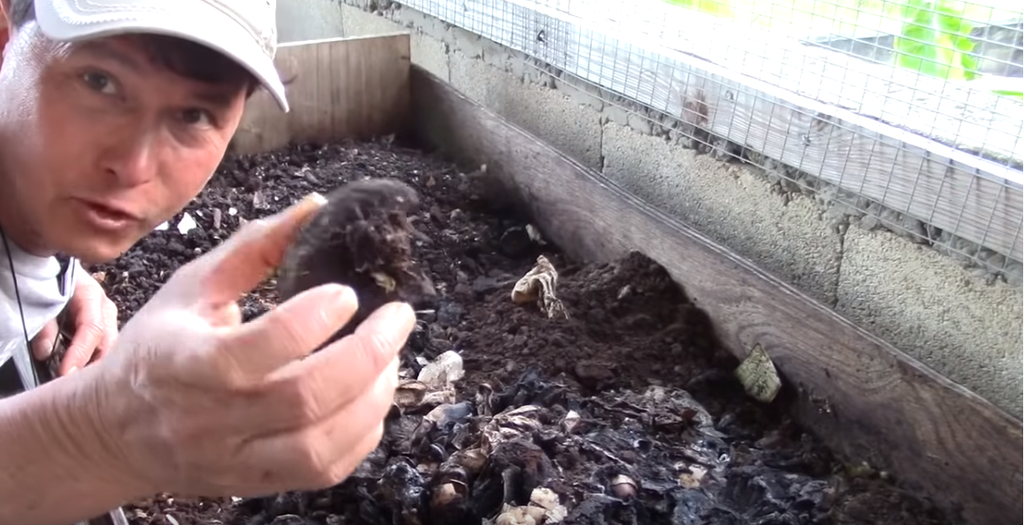 Make $60K-$100K A Year By Growing Worms In Your Basement...