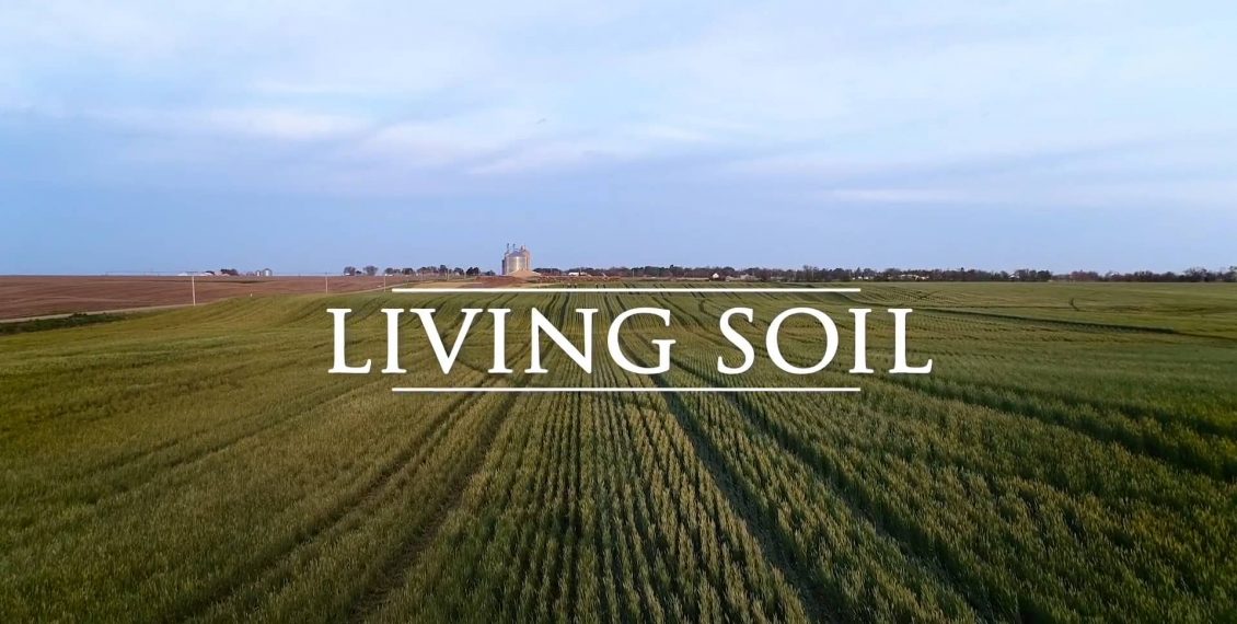 The Living Soil: A Documentary… – Eco Snippets
