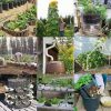 Create Your Own Self-Sufficient Backyard… – Eco Snippets
